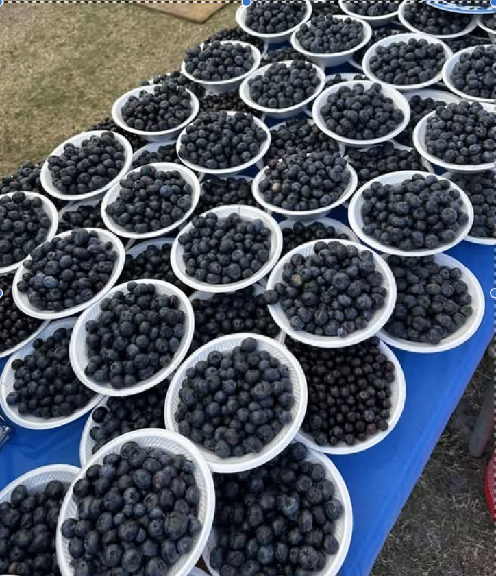 Blueberry Festival coming to the Lee Civic Center - Cape Coral Breeze